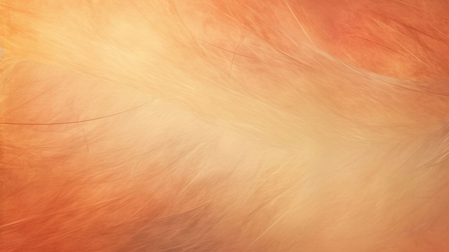 150+ Light Backgrounds - World of Printables