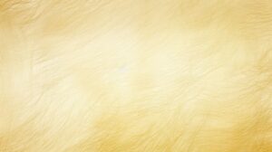 150+ Light Backgrounds - World of Printables