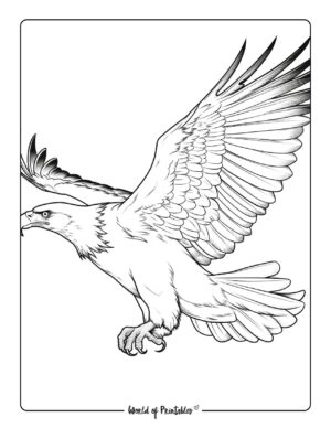 Bird Coloring Pages - World of Printables