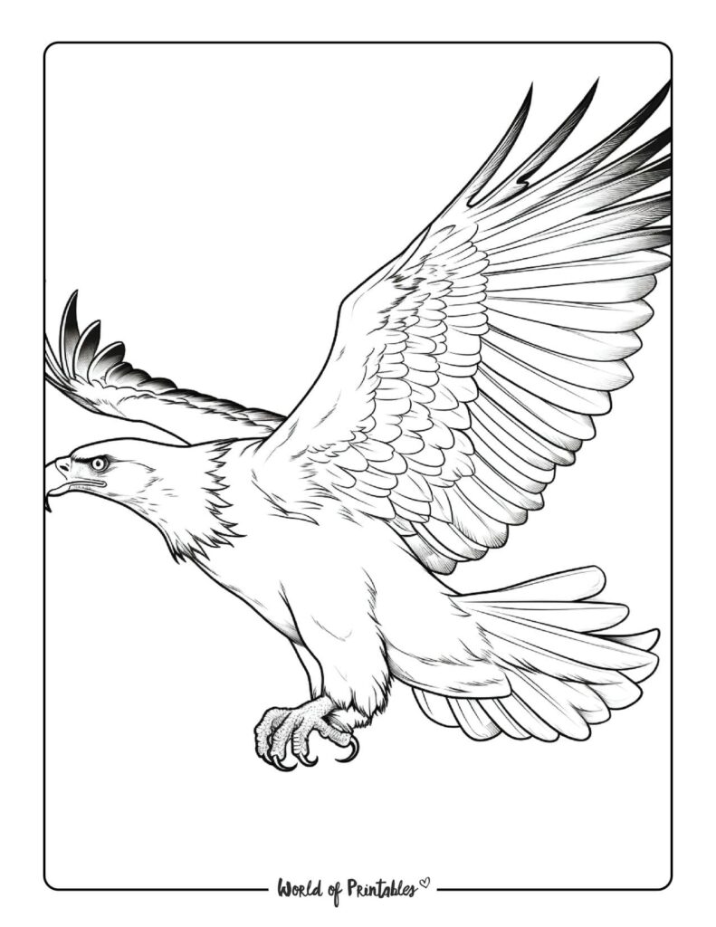 Bird Coloring Pages - World of Printables