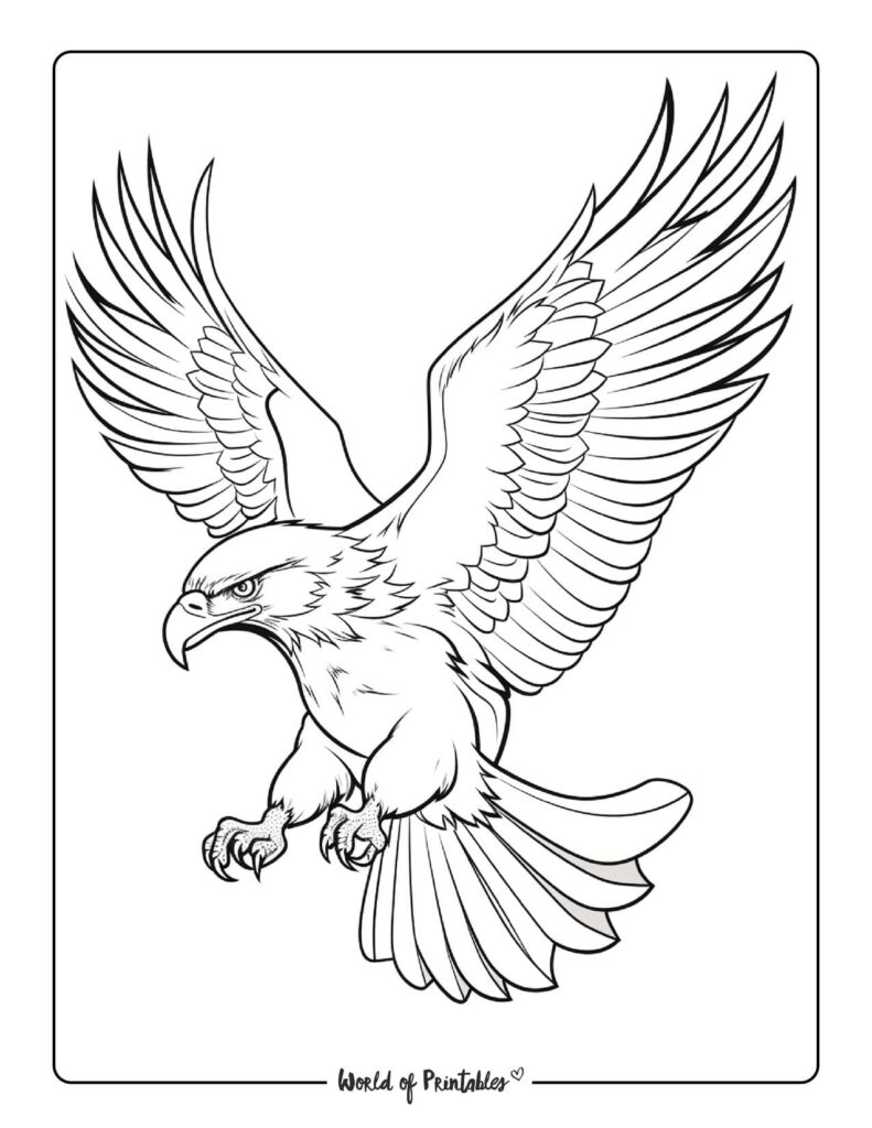 Bird Coloring Pages - World of Printables