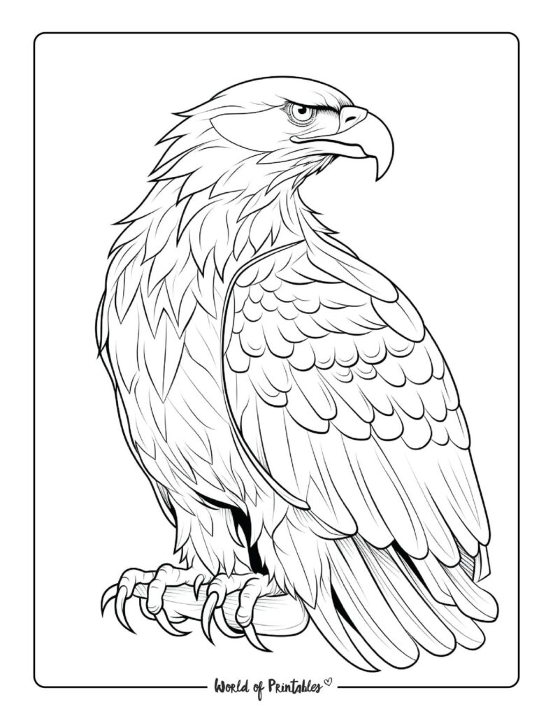 Bird Coloring Pages - World of Printables
