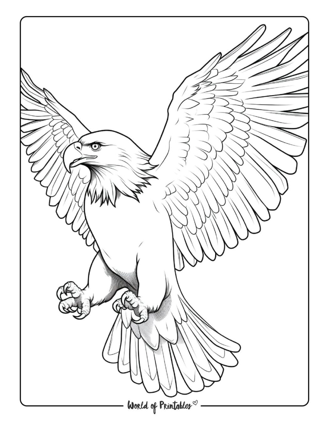 Bird Coloring Pages - World of Printables