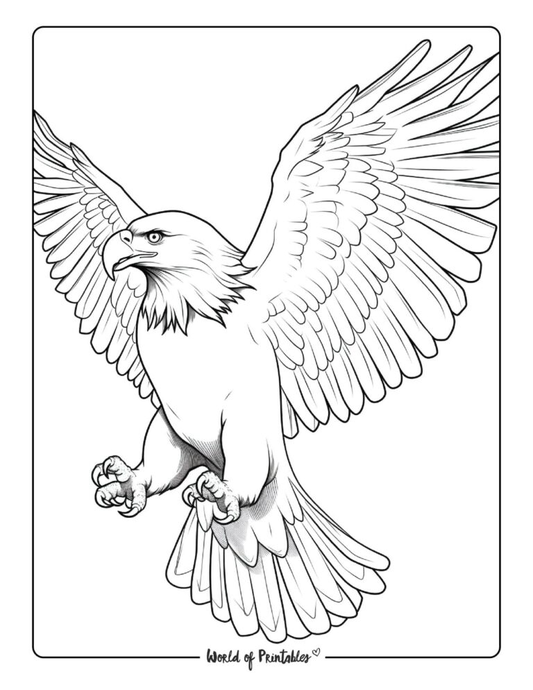 Bird Coloring Pages - World of Printables