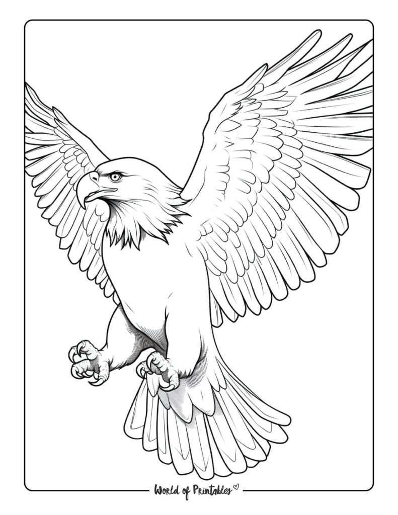 Bird Coloring Pages - World of Printables
