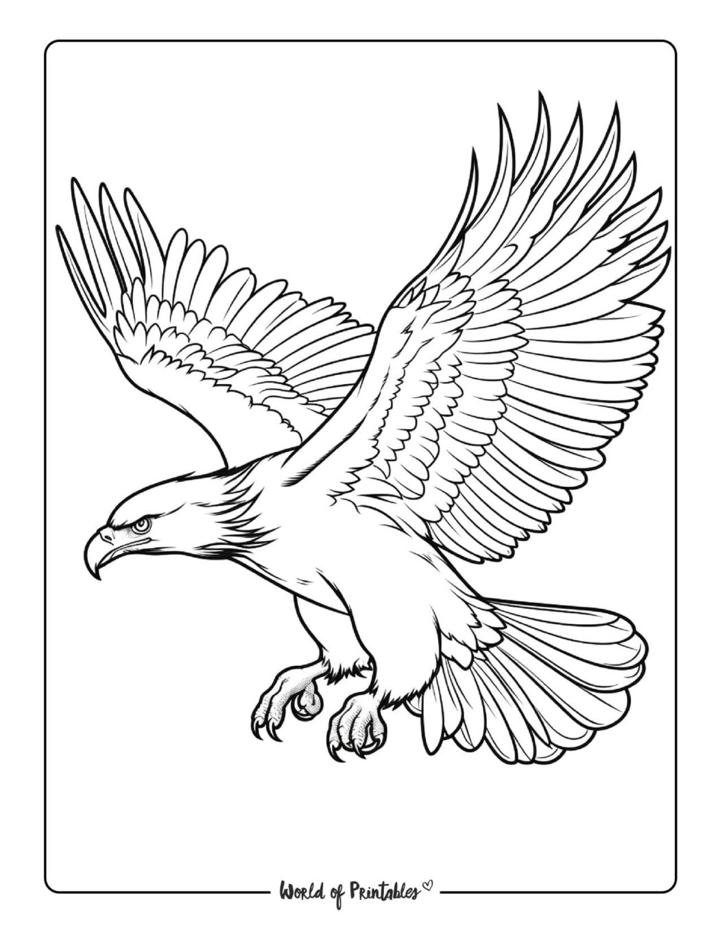 Bird Coloring Pages - World of Printables