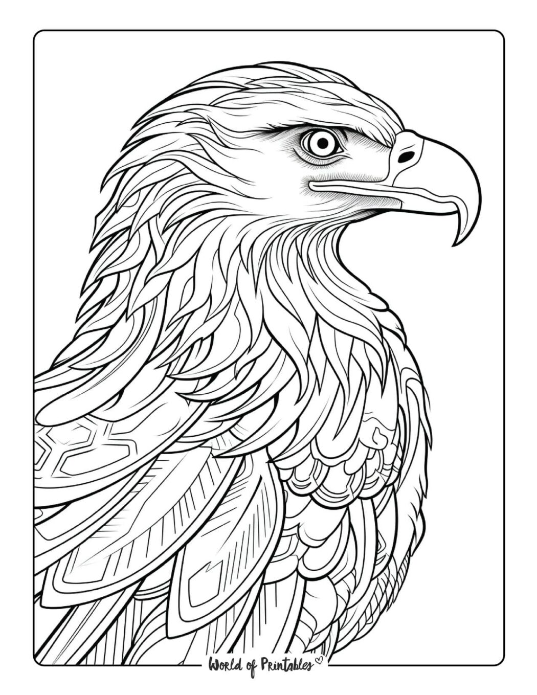 Bird Coloring Pages - World of Printables