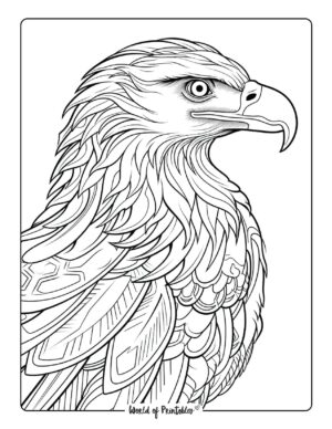 Bird Coloring Pages - World of Printables