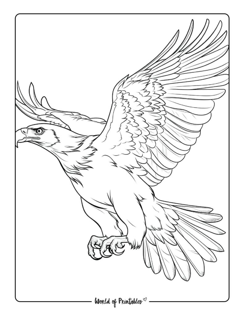 Bird Coloring Pages - World of Printables