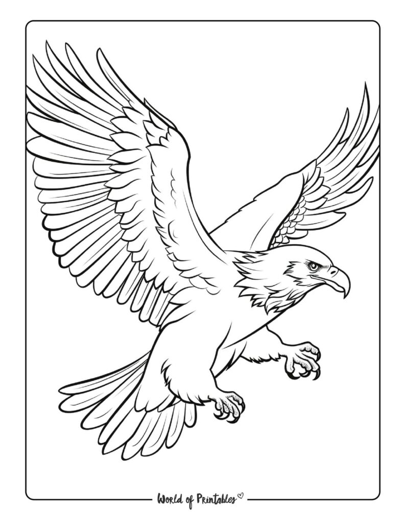 Bird Coloring Pages - World of Printables