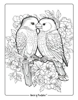 Bird Coloring Pages - World of Printables