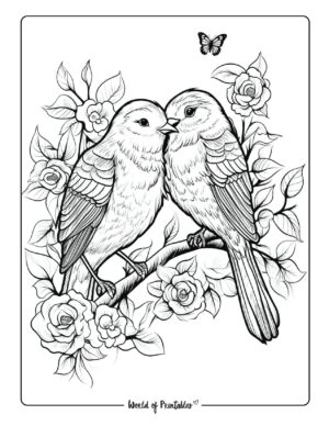 Bird Coloring Pages - World of Printables