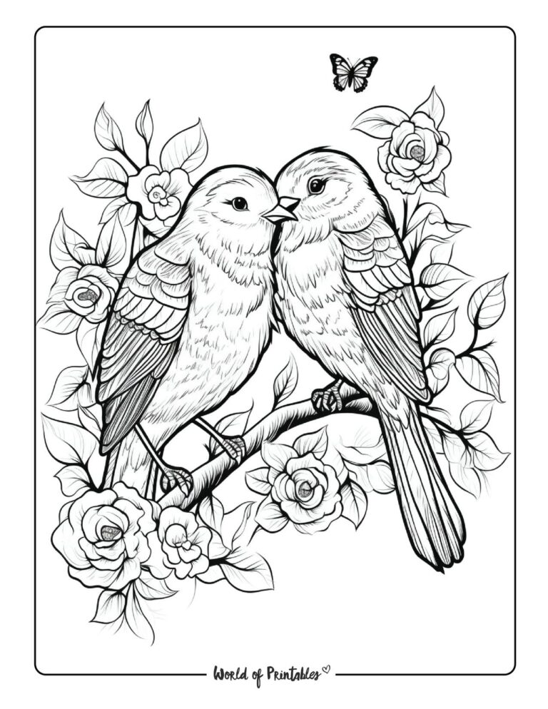 Bird Coloring Pages - World of Printables