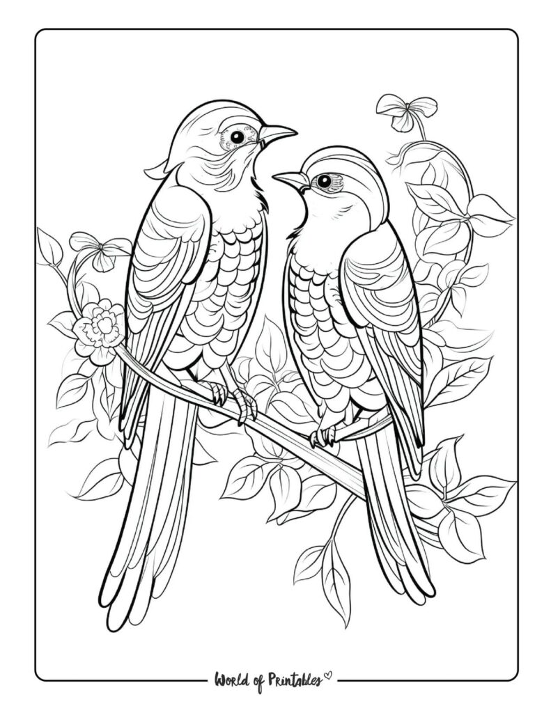 Bird Coloring Pages - World of Printables