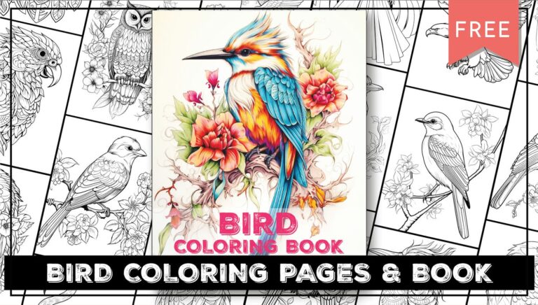 Bird Coloring Pages - World of Printables
