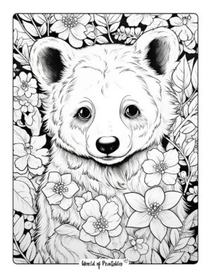 Bear Coloring Pages For Kids & Adults - World of Printables