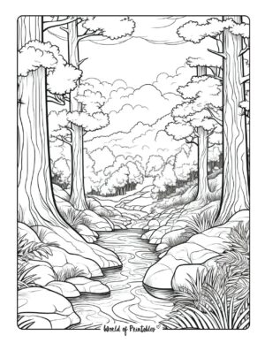 Forest Coloring Pages - World of Printables