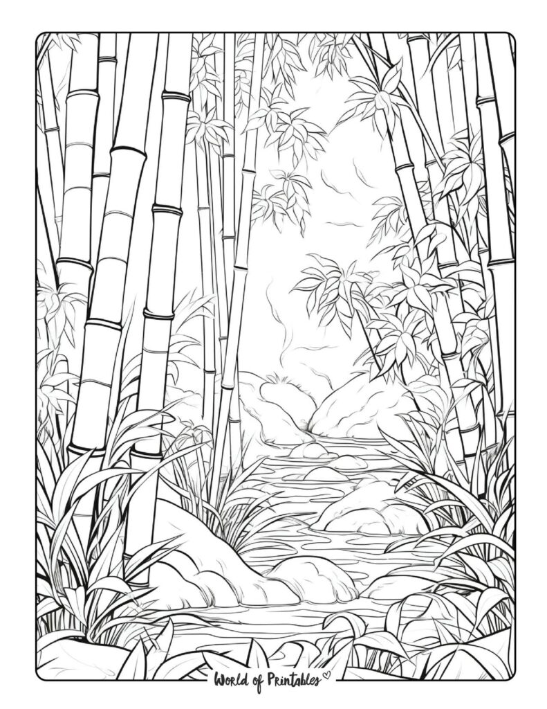 Forest Coloring Pages - World of Printables