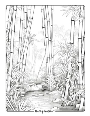 Forest Coloring Pages - World of Printables