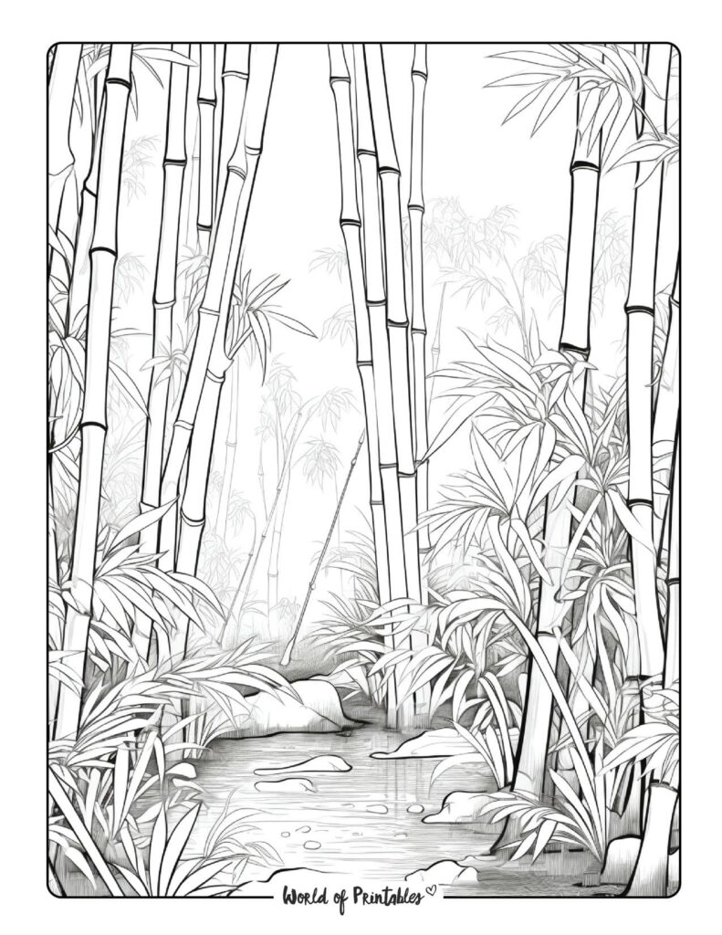 Forest Coloring Pages - World of Printables