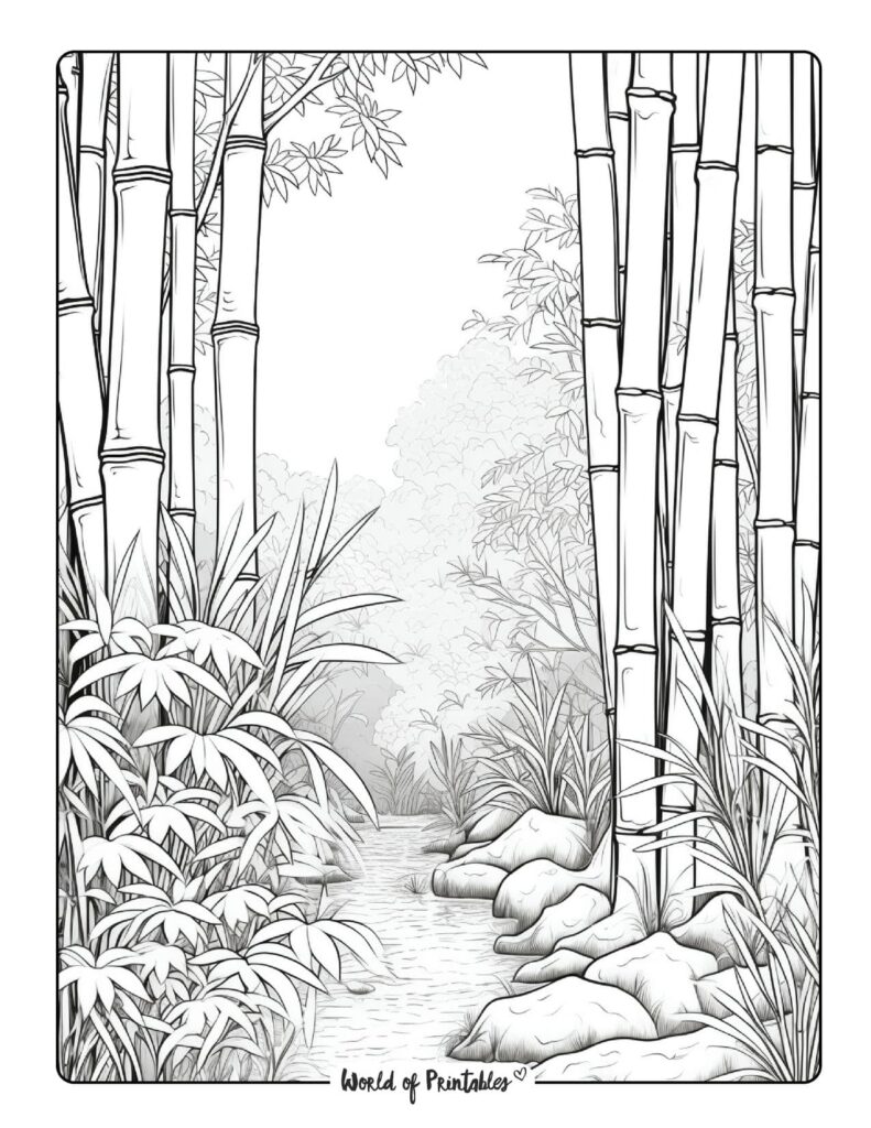 Forest Coloring Pages - World of Printables