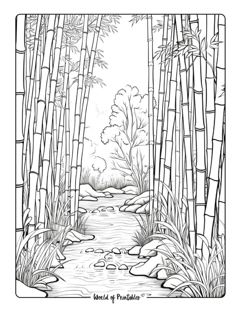 Forest Coloring Pages - World of Printables