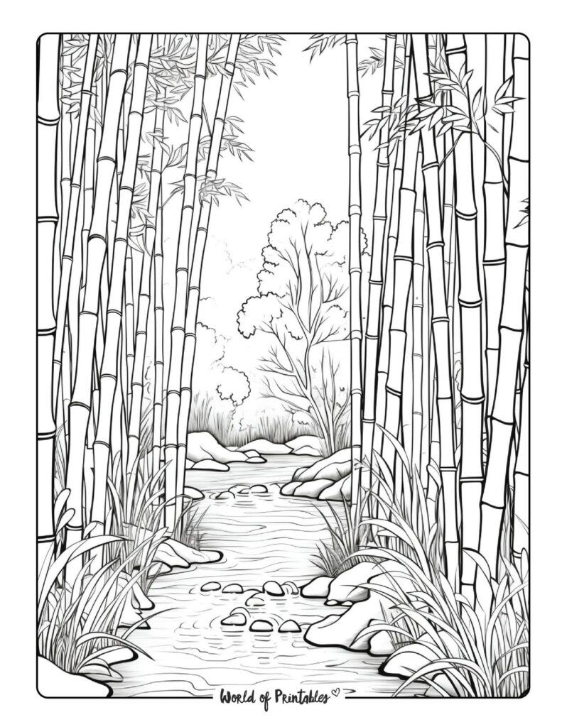 Forest Coloring Pages - World of Printables