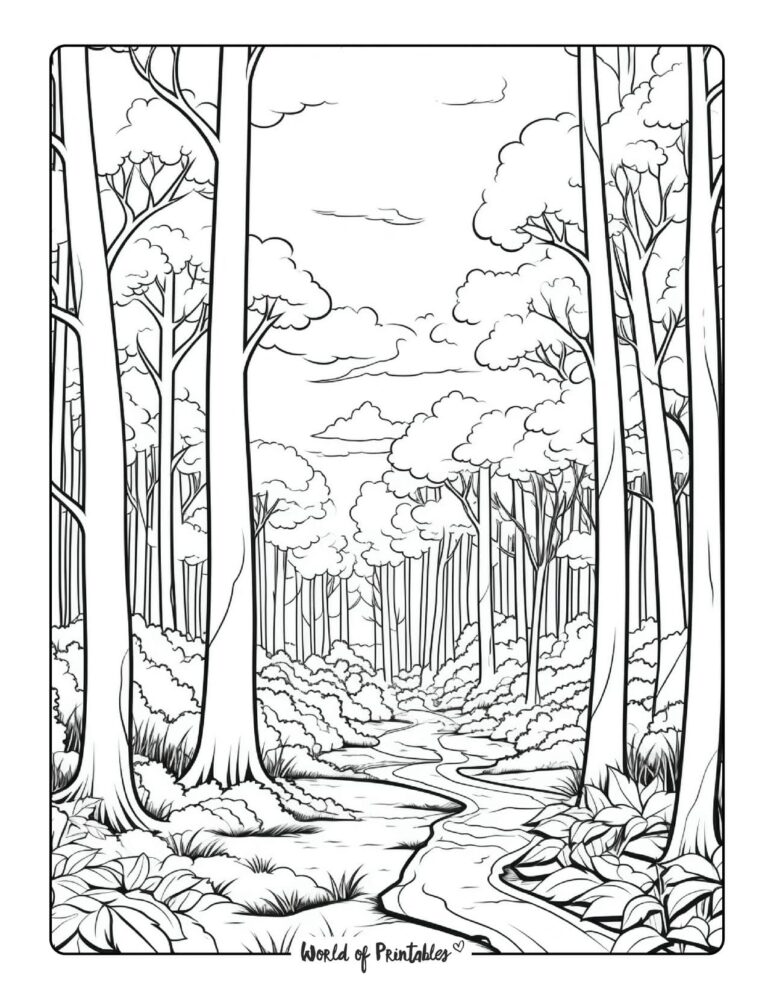 Forest Coloring Pages - World of Printables