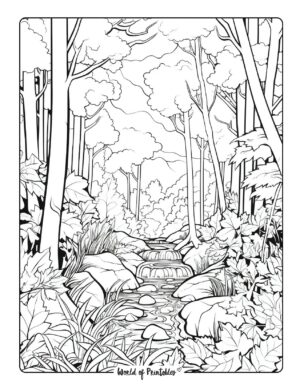 Forest Coloring Pages - World of Printables
