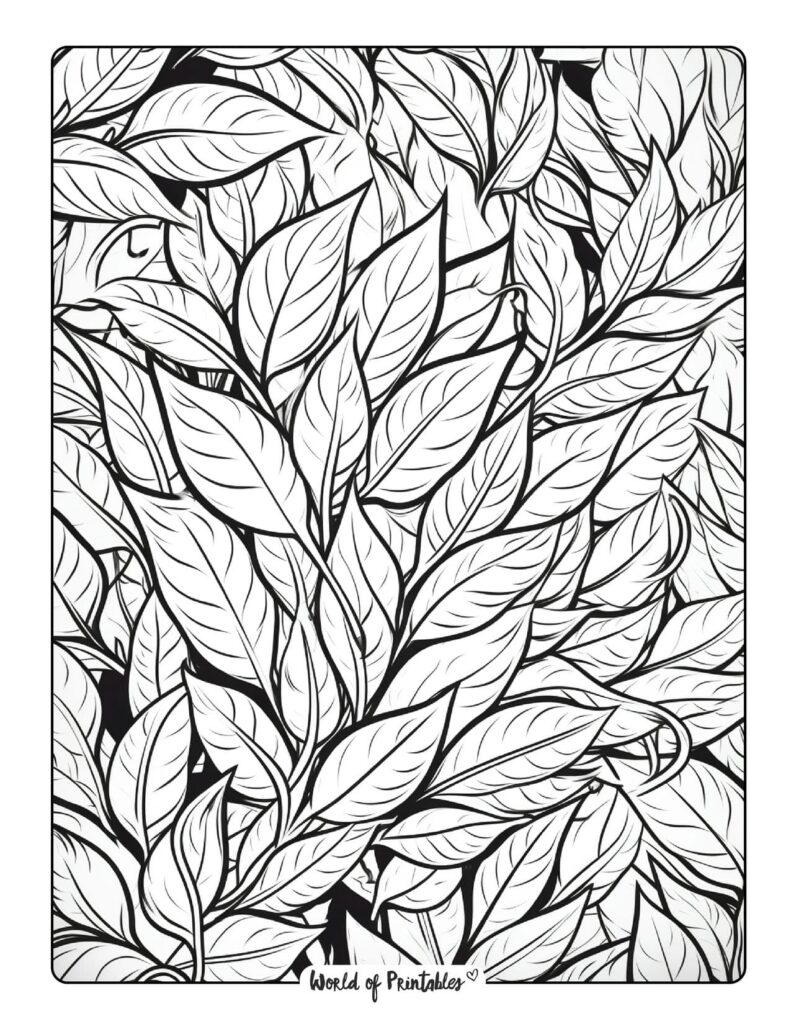 Forest Coloring Pages - World of Printables