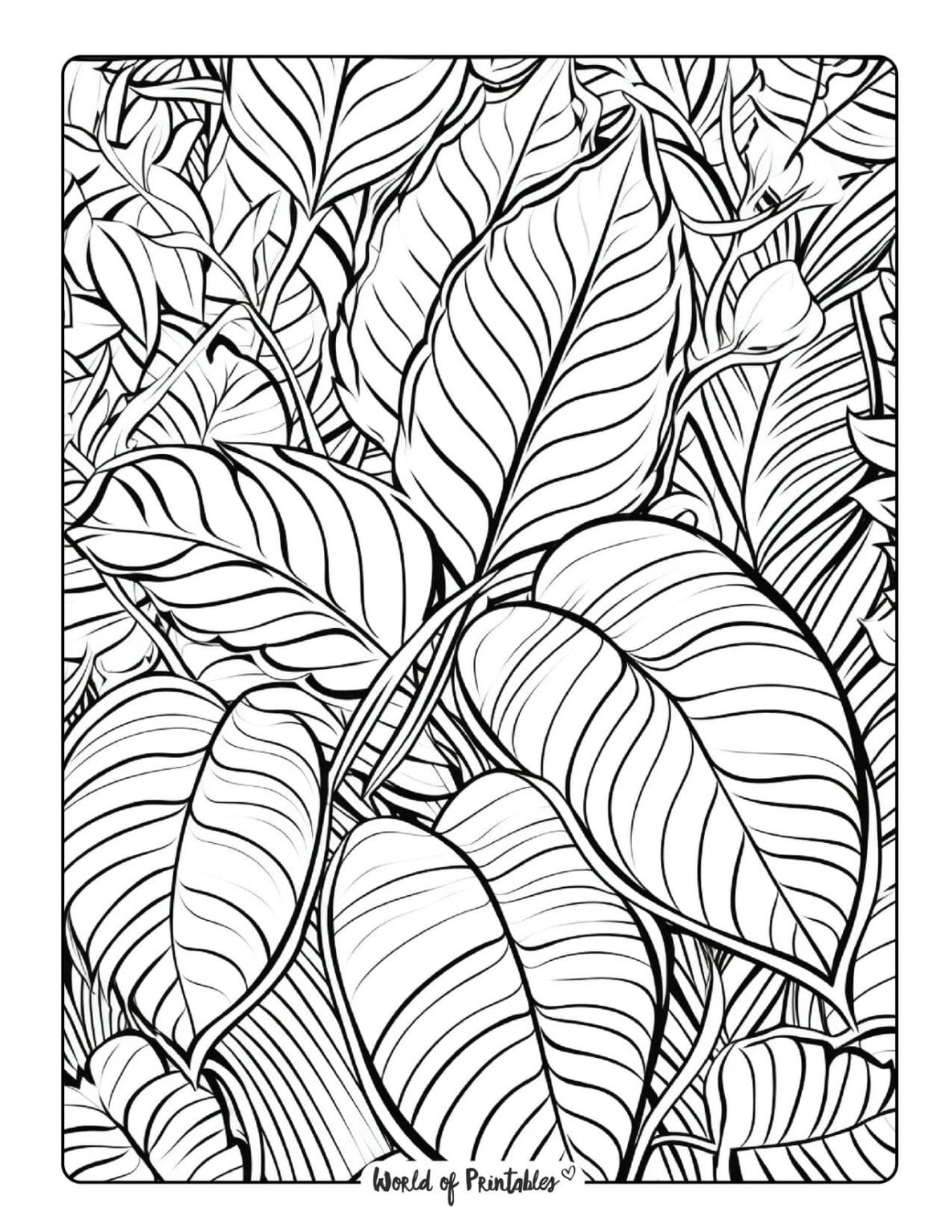 Jungle Coloring Pages - World of Printables