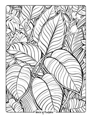 Jungle Coloring Pages - World of Printables