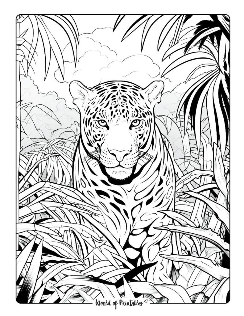 Jungle Coloring Pages - World of Printables