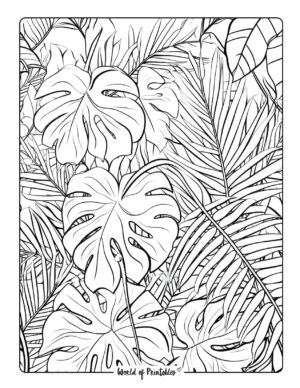 Jungle Coloring Pages - World of Printables