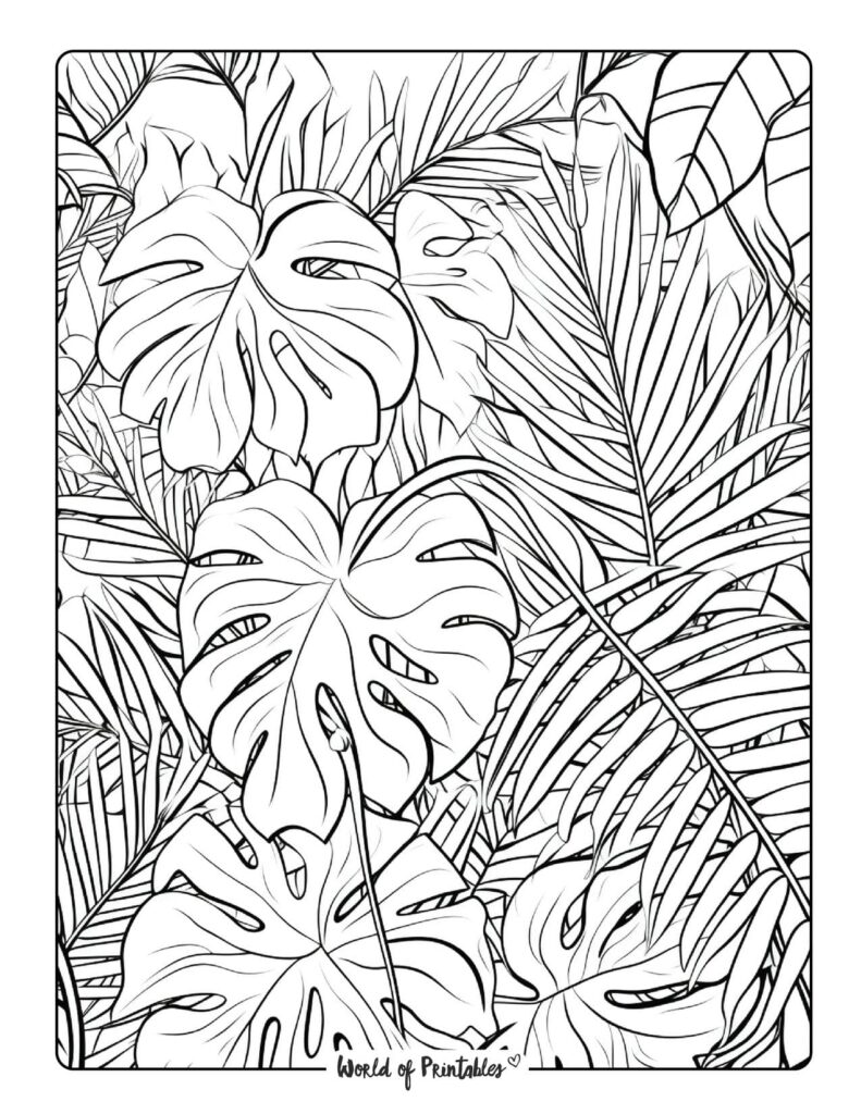 Jungle Coloring Pages - World of Printables
