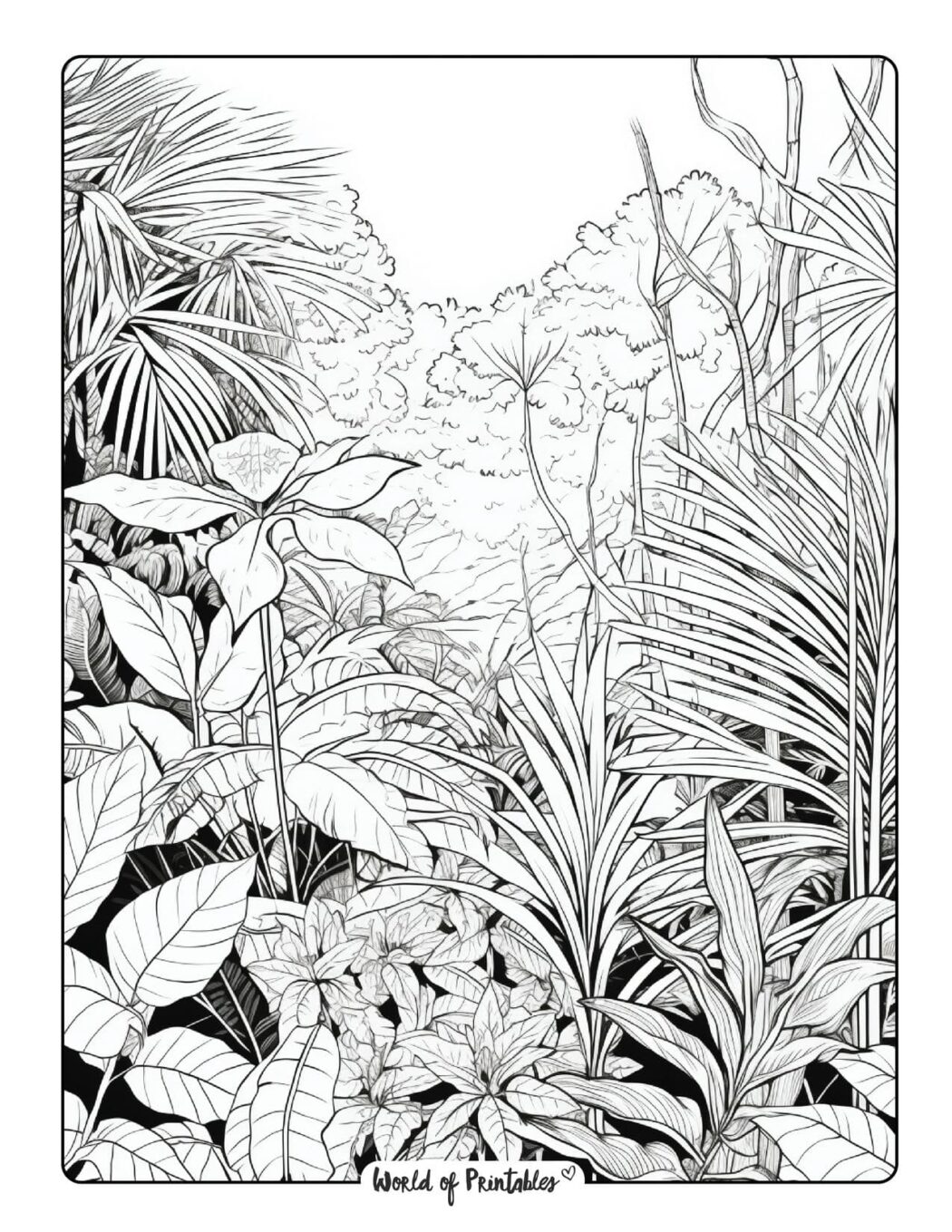 Jungle Coloring Pages - World of Printables