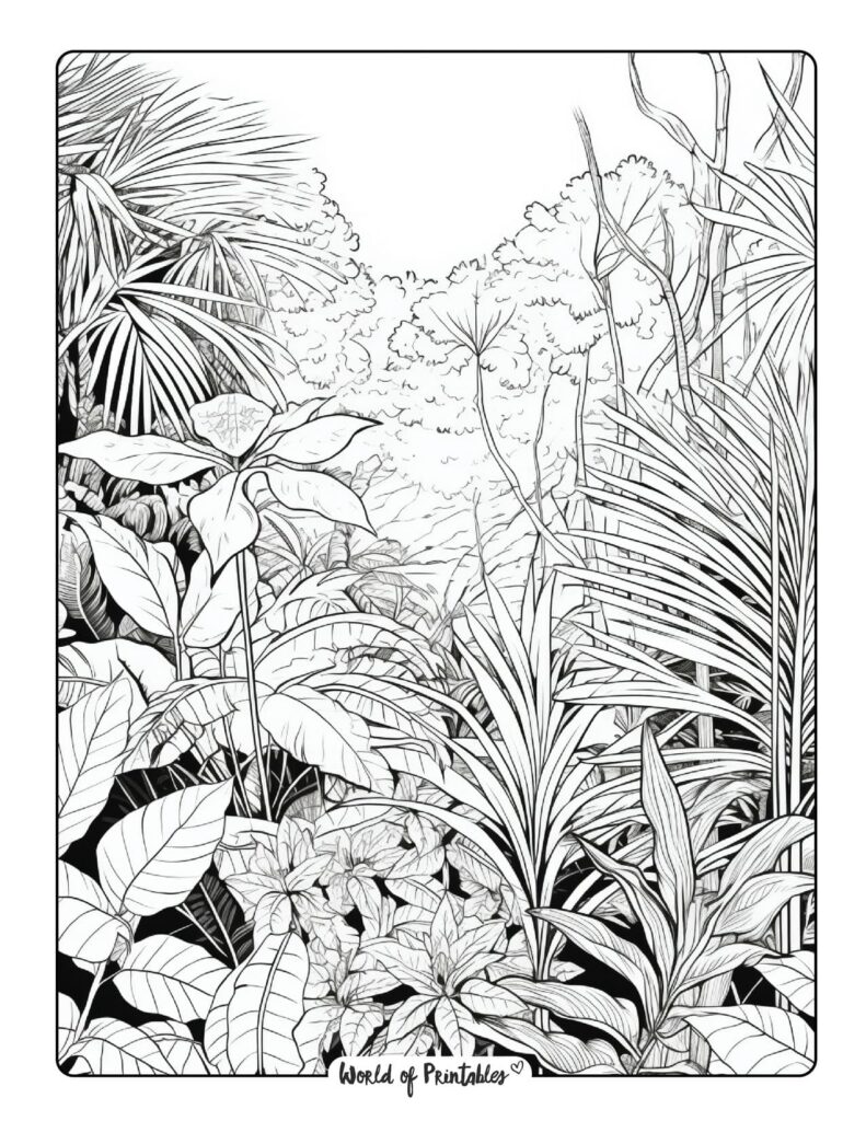 Jungle Coloring Pages - World of Printables