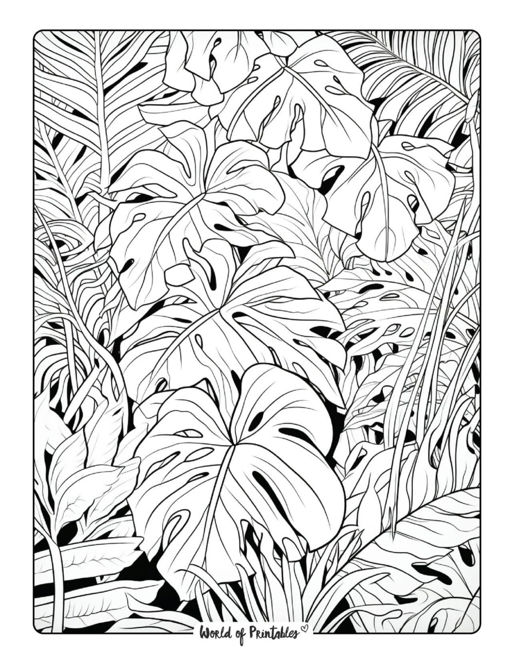Jungle Coloring Pages - World of Printables