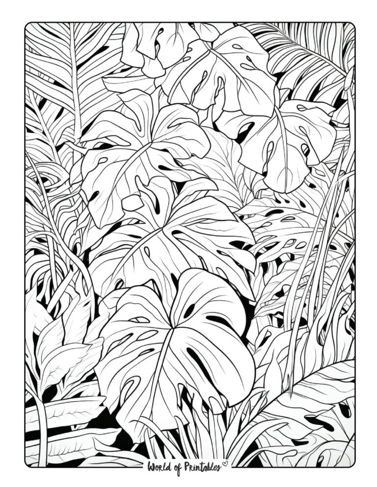 Jungle Coloring Pages - World of Printables
