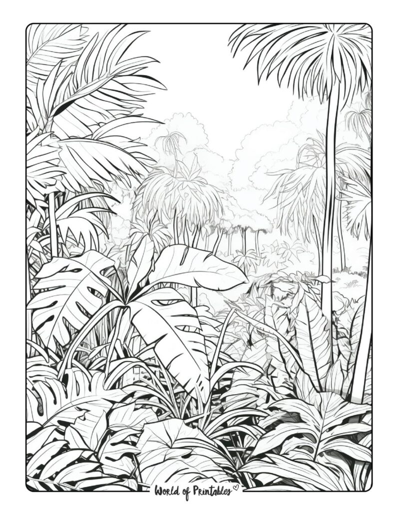 Jungle Coloring Pages - World of Printables