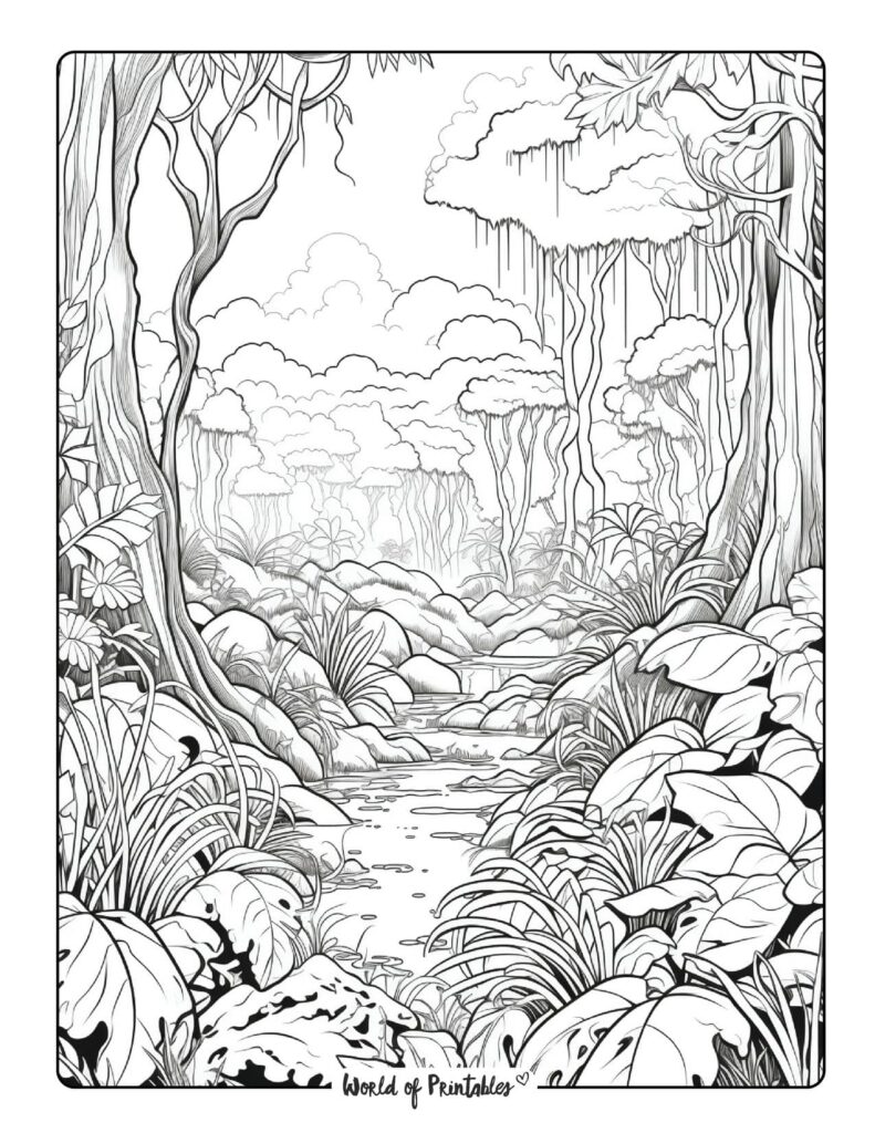 Jungle Coloring Pages - World of Printables