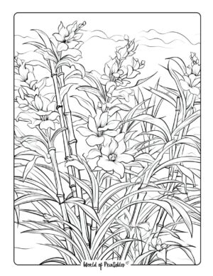 Landscape Coloring Pages - World of Printables