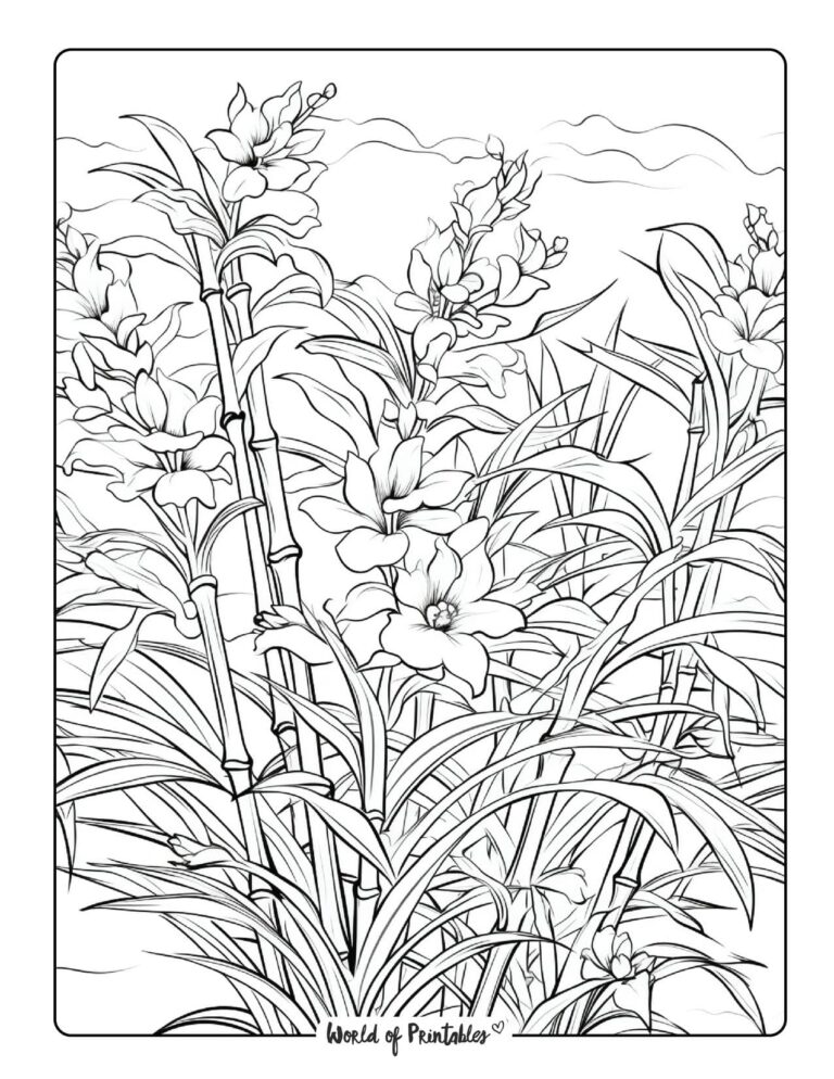 Landscape Coloring Pages - World of Printables