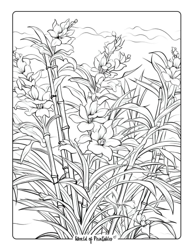 Landscape Coloring Pages - World of Printables