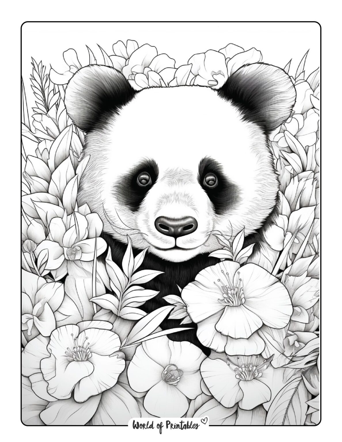 Panda Coloring Pages For Kids & Adults - World of Printables