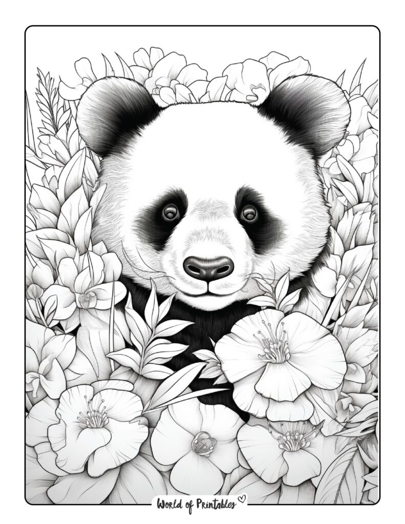 Panda Coloring Pages For Kids & Adults - World of Printables