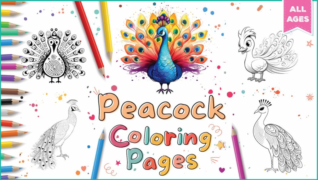 Peacock Coloring Pages - World of Printables