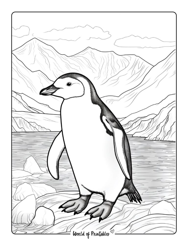 Penguin Coloring Pages For Kids & Adults - World of Printables