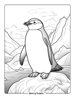 Penguin Coloring Pages For Kids & Adults - World of Printables