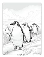 Penguin Coloring Pages For Kids & Adults - World of Printables